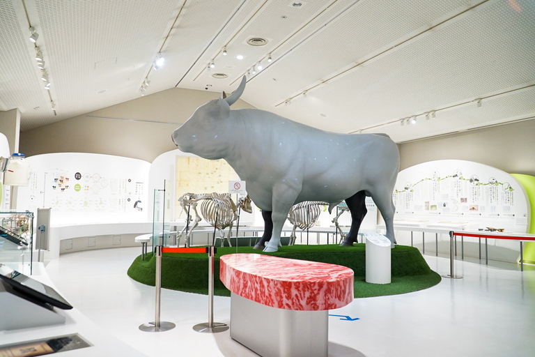 A Journey to Discover the Origins of Kobe Beef | Related | AMAZING ...