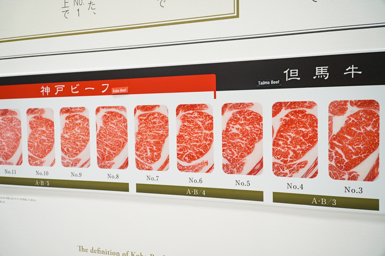 A Journey to Discover the Origins of Kobe Beef | Related | AMAZING ...
