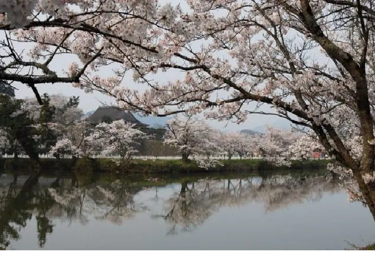 A Stroll Through The 400-Year-Old Castle Town Of Tamba-Sasayama ...