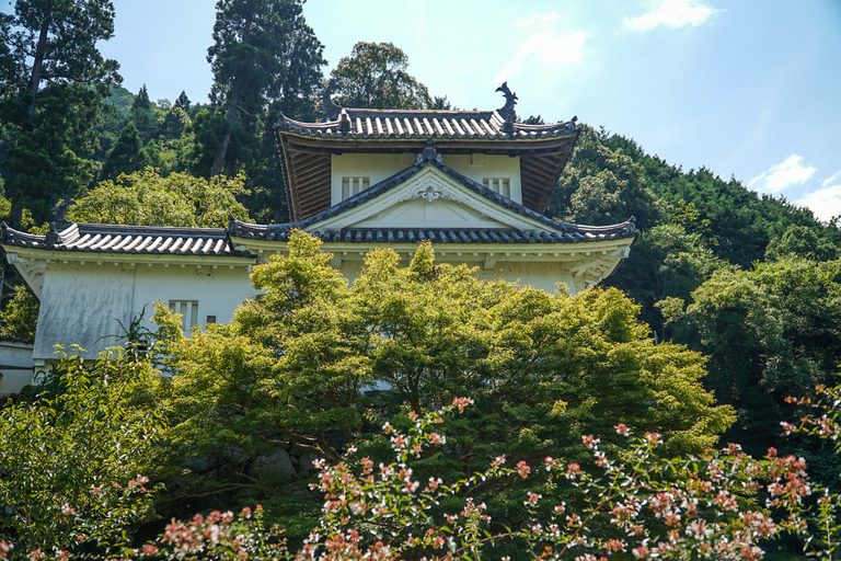 Not Just Kinosaki Onsen! Enjoy a Stroll in the Castle Town of Izushi! | Features | AMAZING HYOGO ...