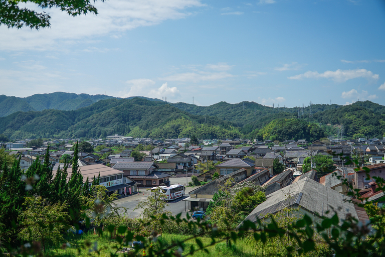 Not Just Kinosaki Onsen! Enjoy a Stroll in the Castle Town of Izushi! | Features | AMAZING HYOGO ...