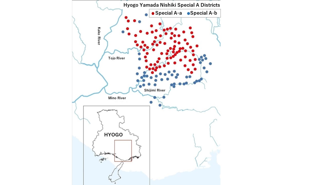 Yamada Nishiki: 85-year legacy, an exceptional sake rice | Food ...
