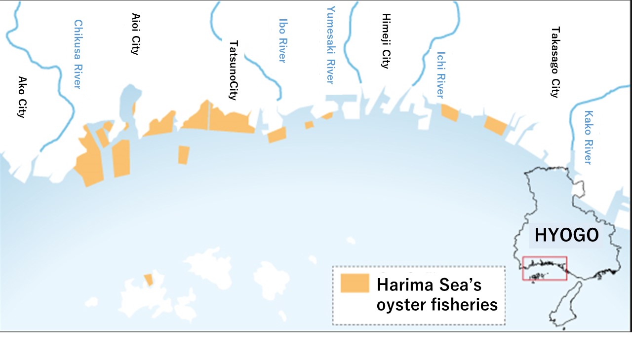 Oysters from the Harima Sea: Blessings from the land nurture the sea ...